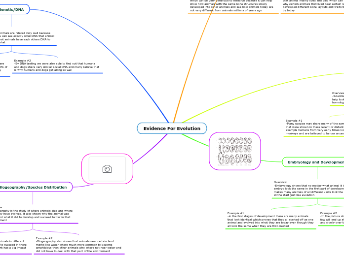 Evidence For Evolution - Mind Map